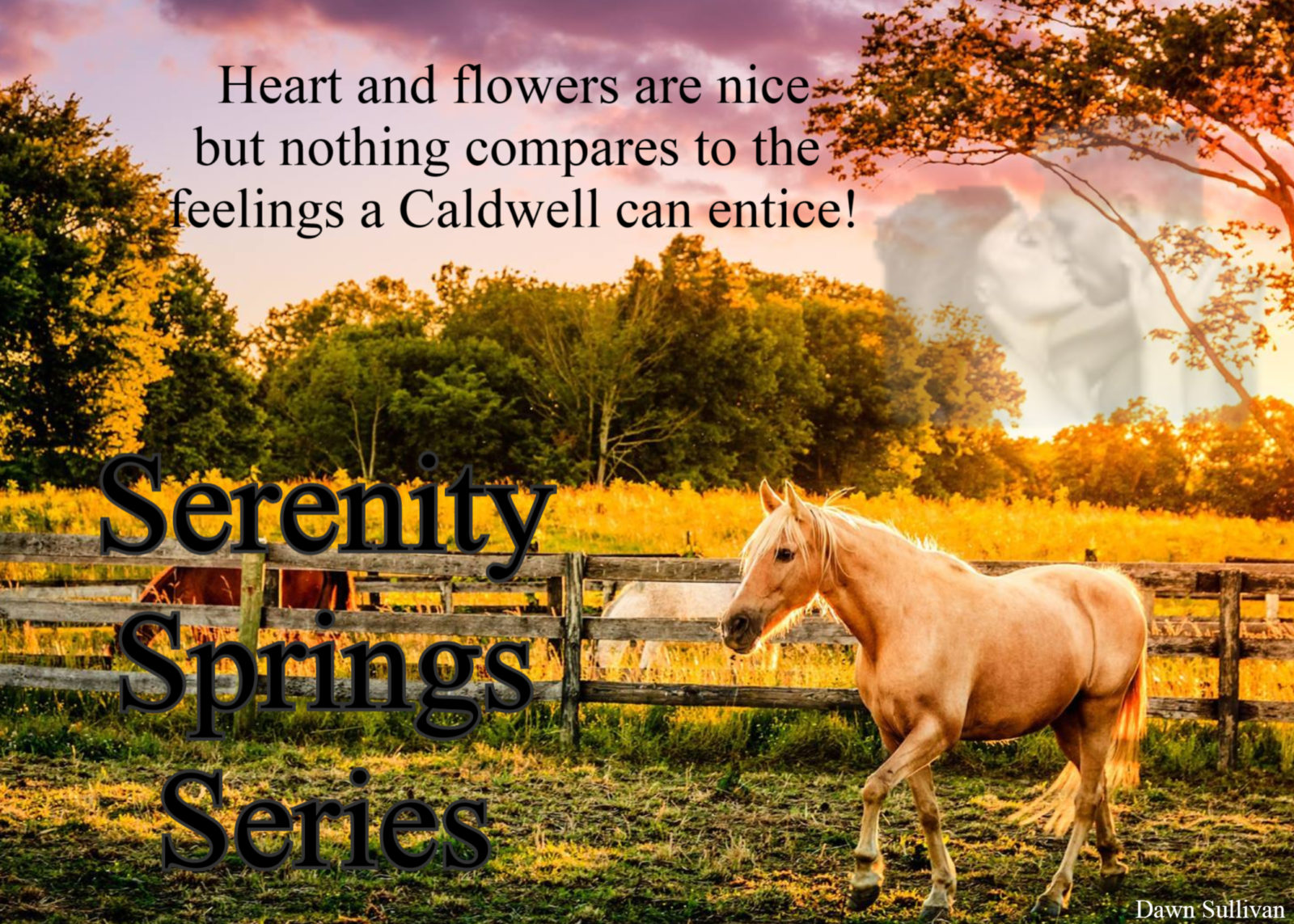 Dawn Sullivan Author