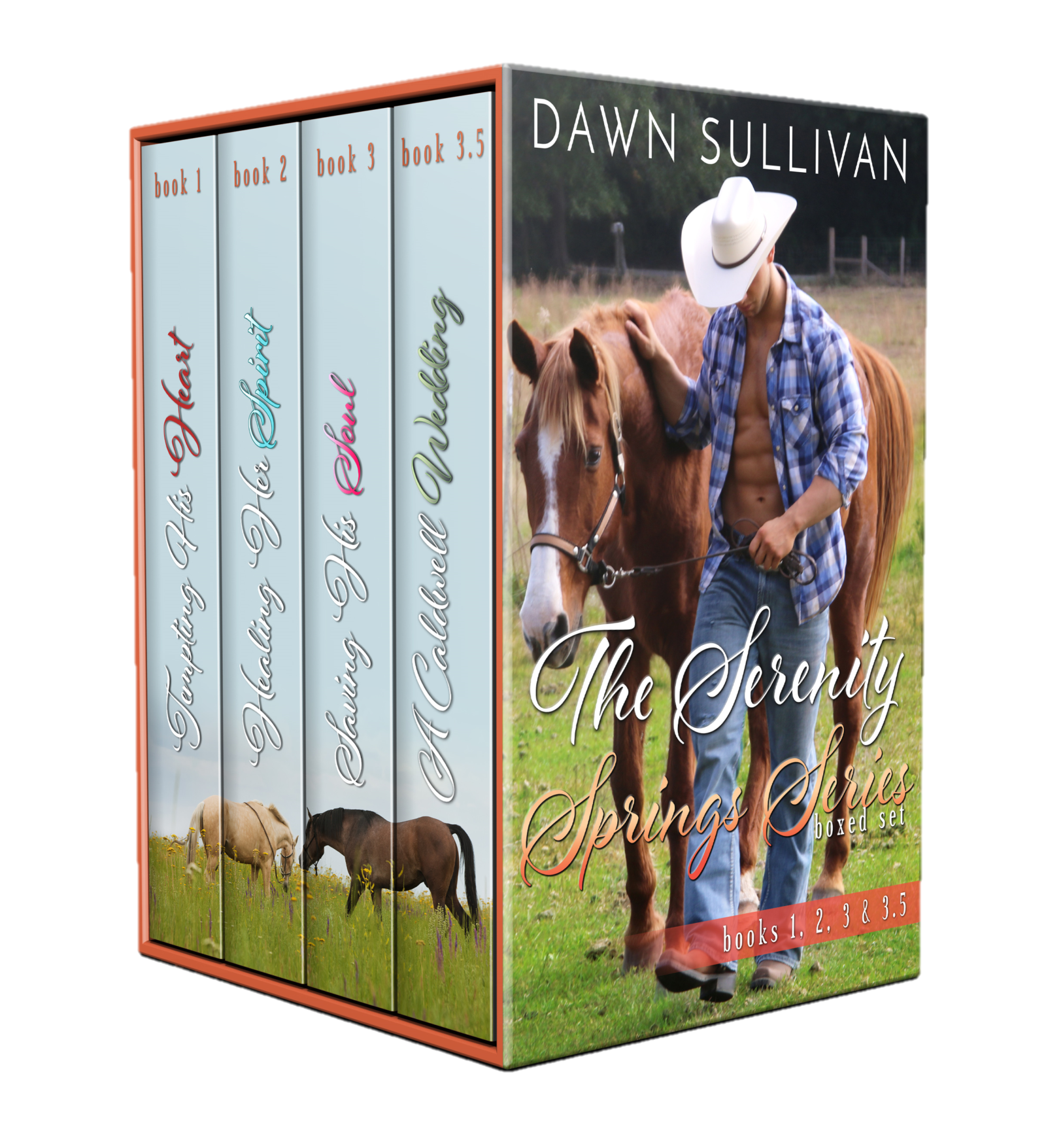 Serenity Springs Series – Dawn Sullivan Author